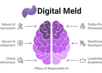 Blog - Digital Meld